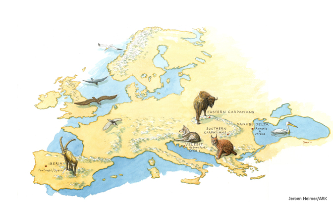 Photo Gallery: Rewilding Europe Part II | Green News Update